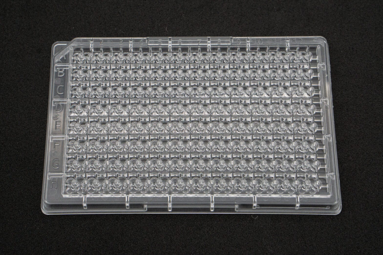 SpecPlate - EN – UV-Platte – Phabioc